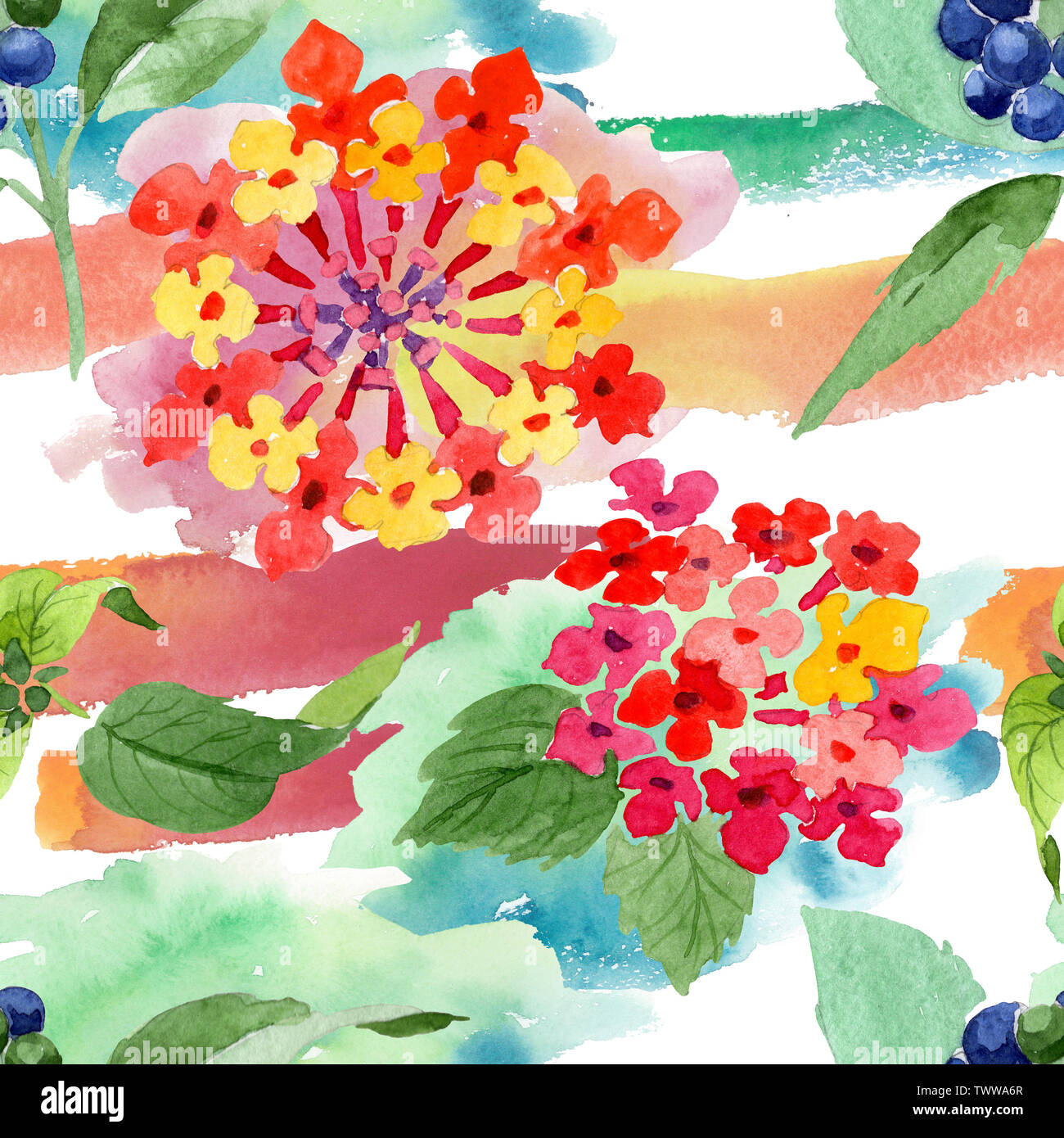 Red lantana floral botanical flowers. Wild spring leaf wildflower ...