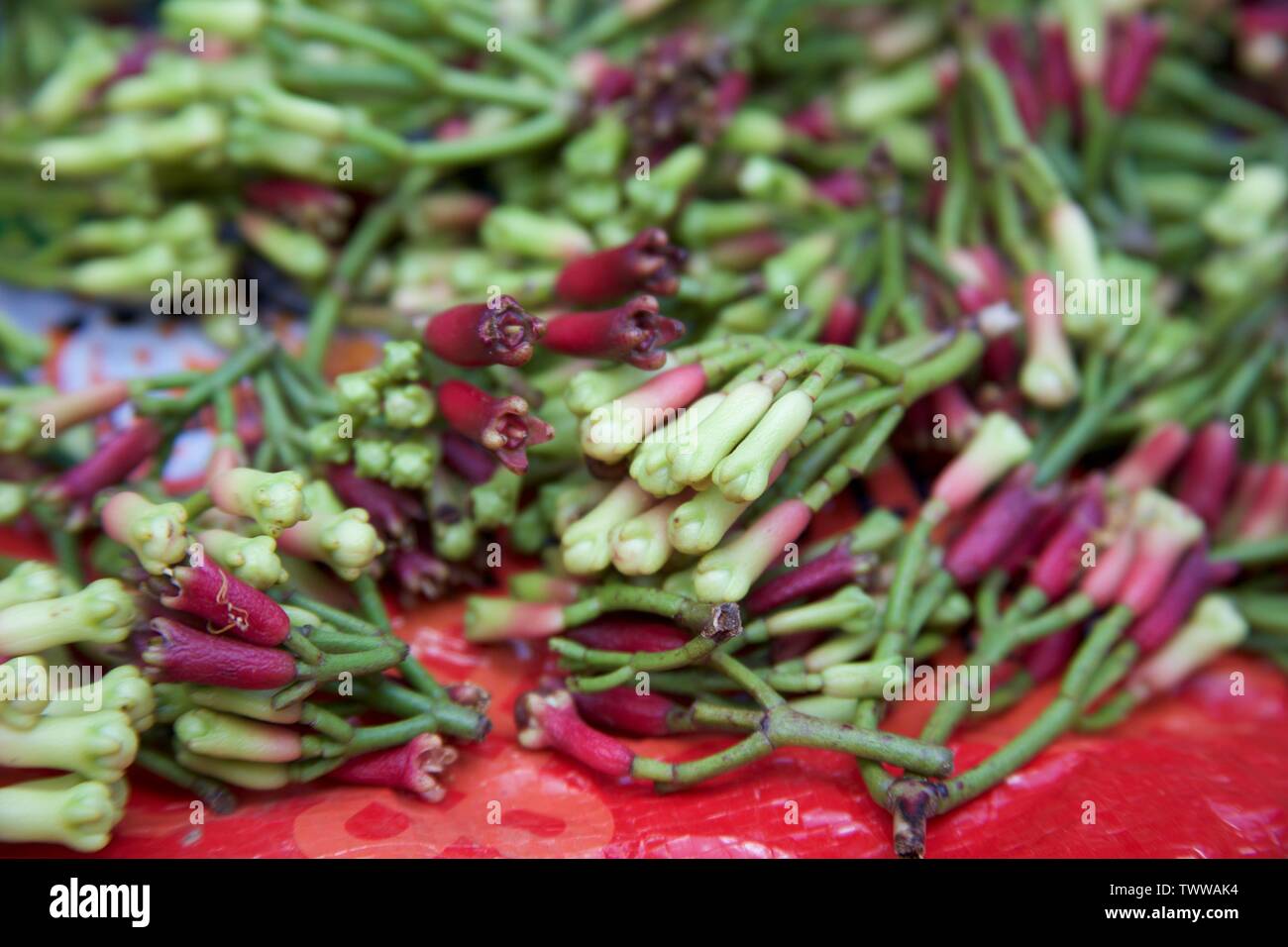 Cloves drying hi-res stock photography and images - Alamy