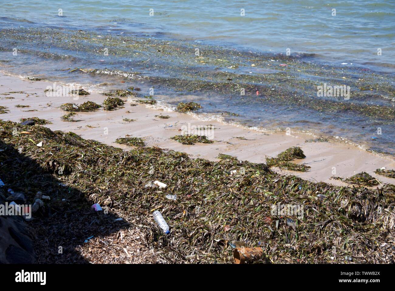plastic waste washed up on the beach Stock Photo - Alamy