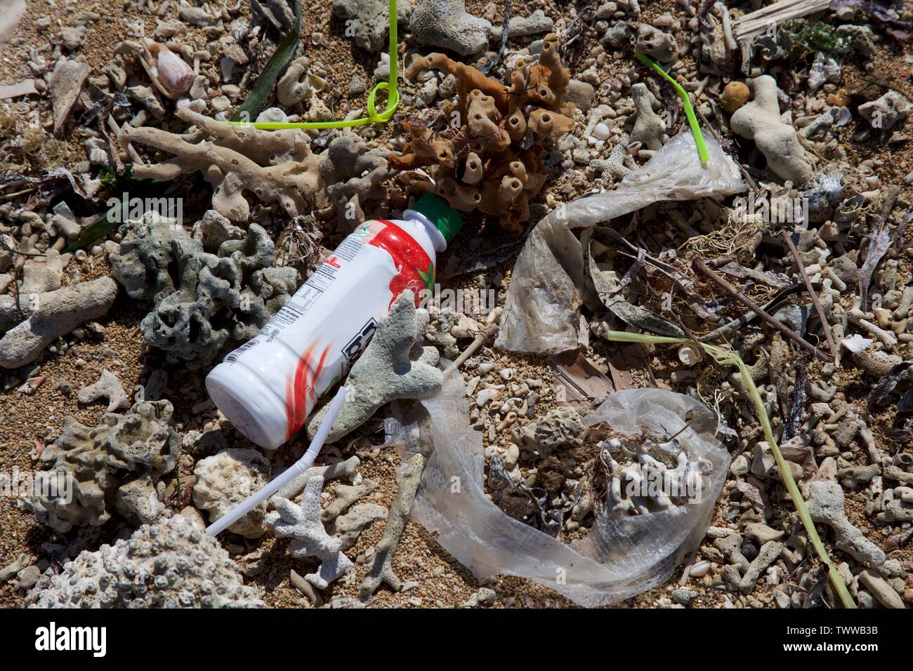 plastic waste washed up on the beach Stock Photo - Alamy