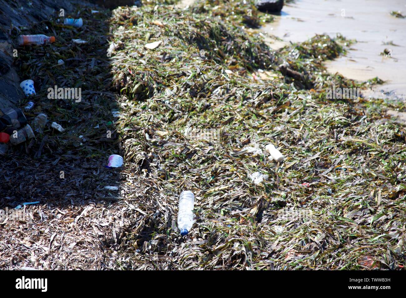 plastic waste washed up on the beach Stock Photo - Alamy