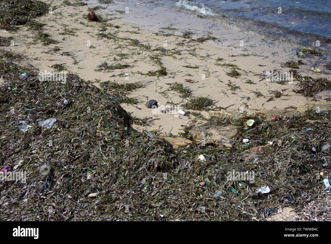 plastic waste washed up on the beach Stock Photo - Alamy