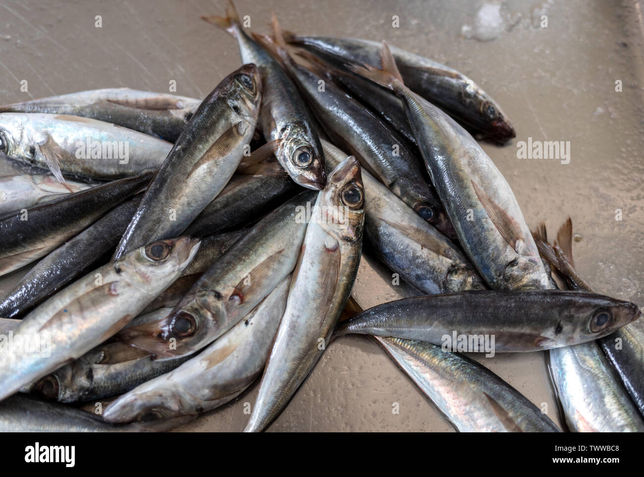 Fresh fish for sale at a fish market Stock Photo - Alamy