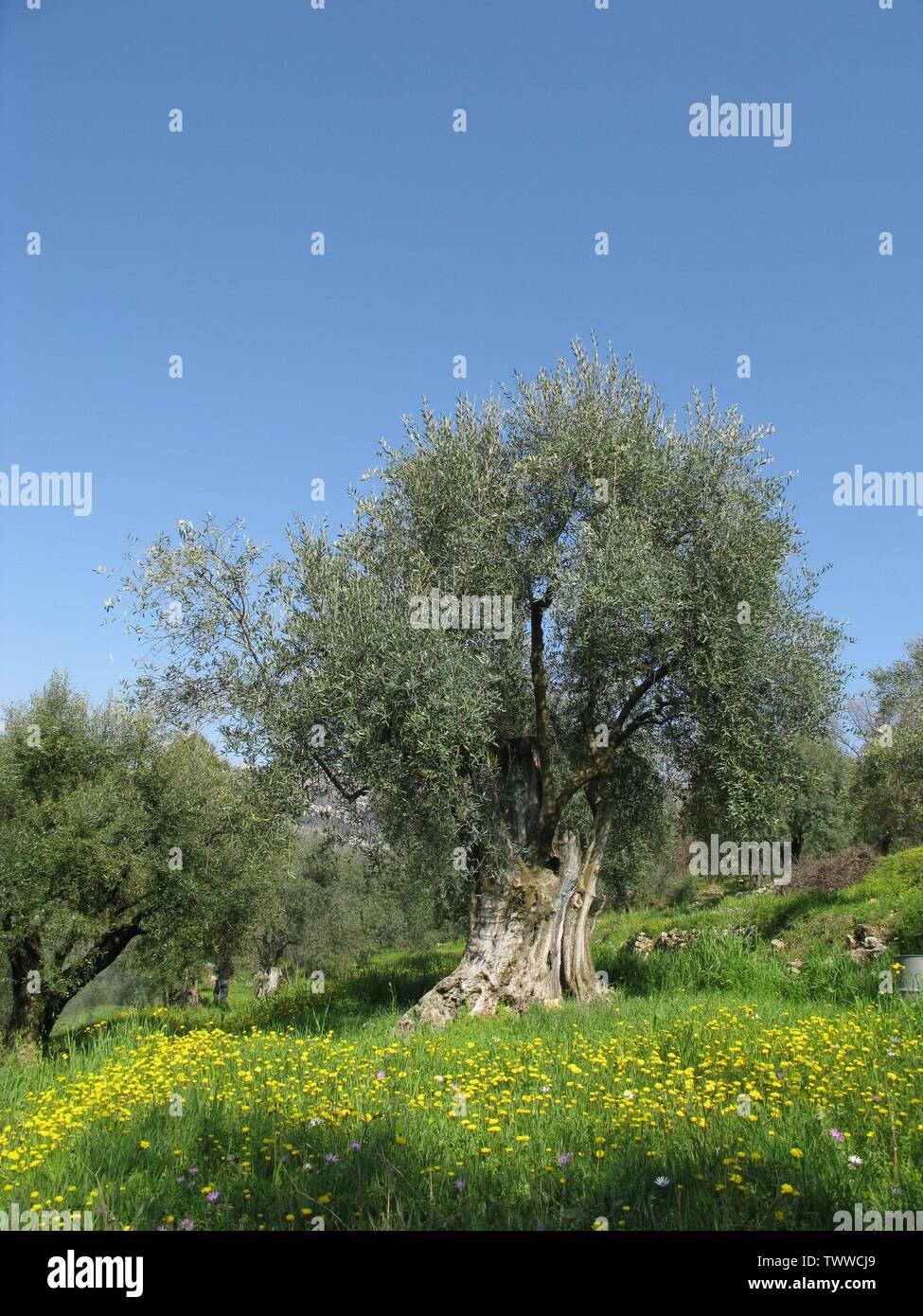 Loup Valley High Resolution Stock Photography and Images - Alamy