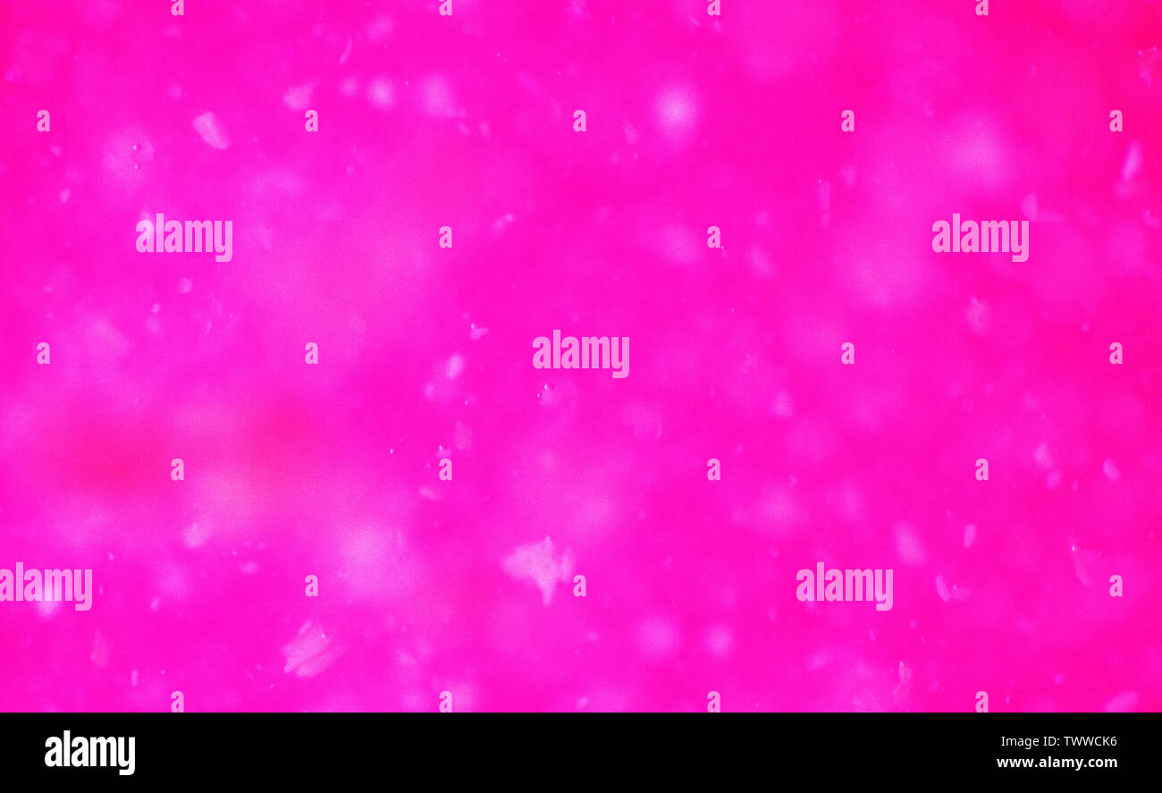Bio ultra macro background. Organic vegetable background with a big ...