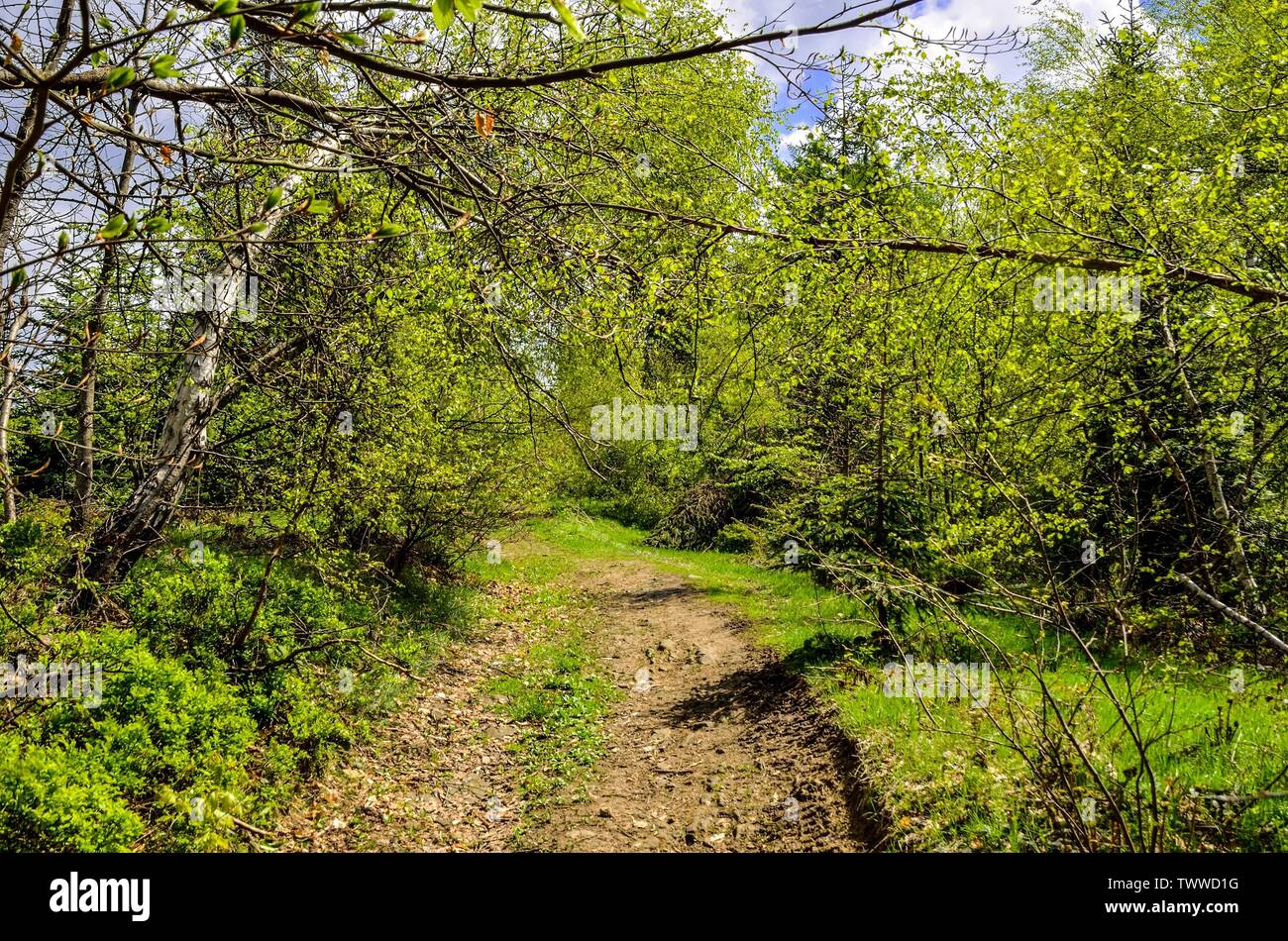 The most beautiful spring scenery hi-res stock photography and images ...