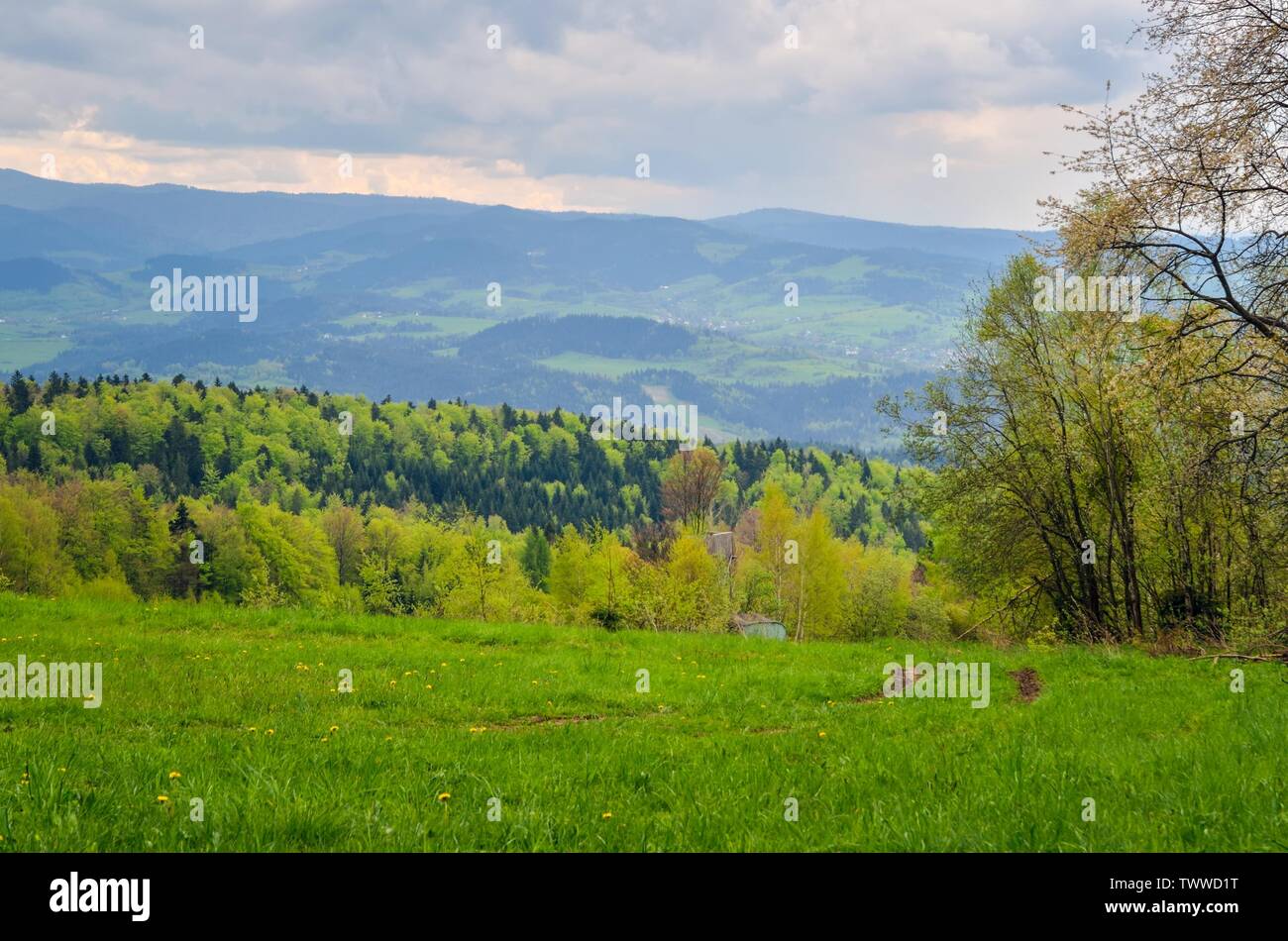 Beautiful spring mountain landscape. Green rural scenery on the hills ...