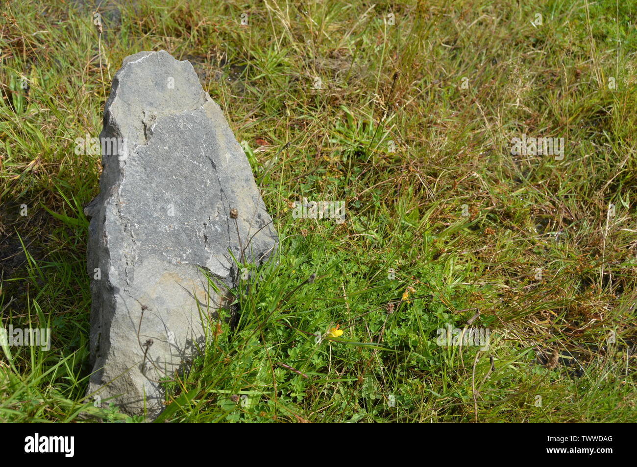 Sinter rock hi-res stock photography and images - Alamy