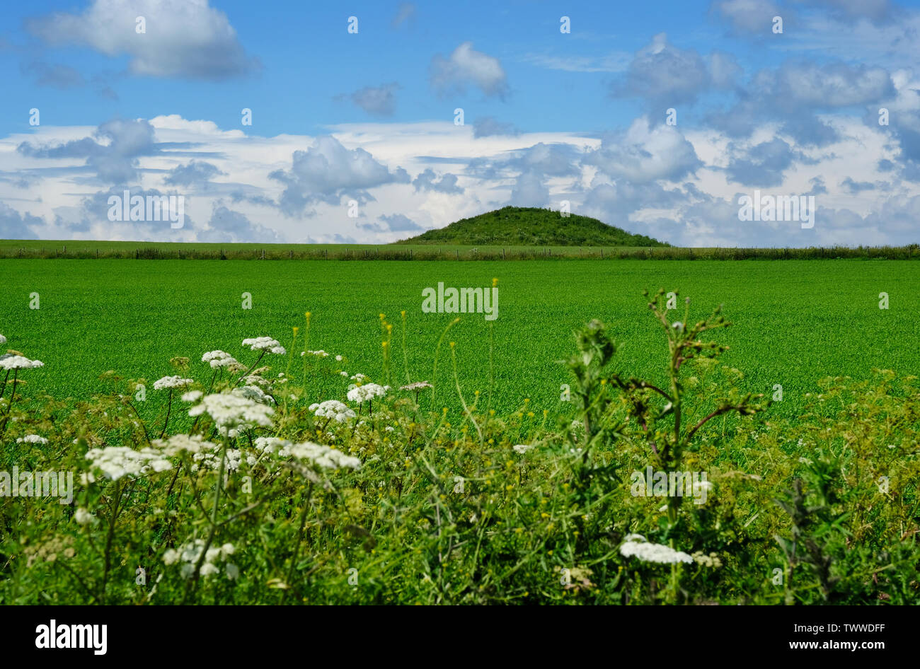 Bronze age burial dorset hi-res stock photography and images - Alamy