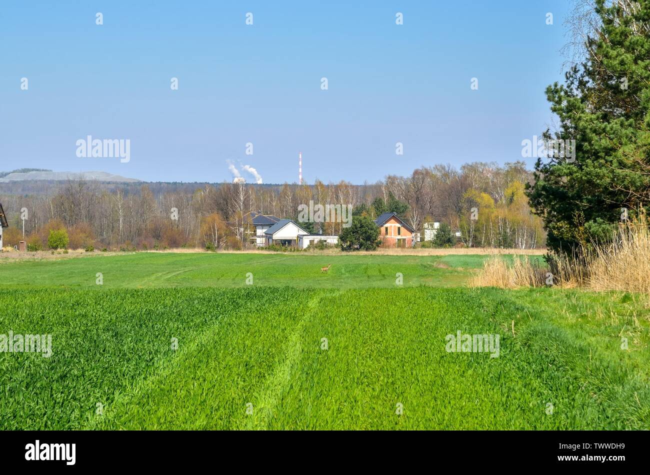 Spring rural landscape. Construction of a new home in the countryside ...