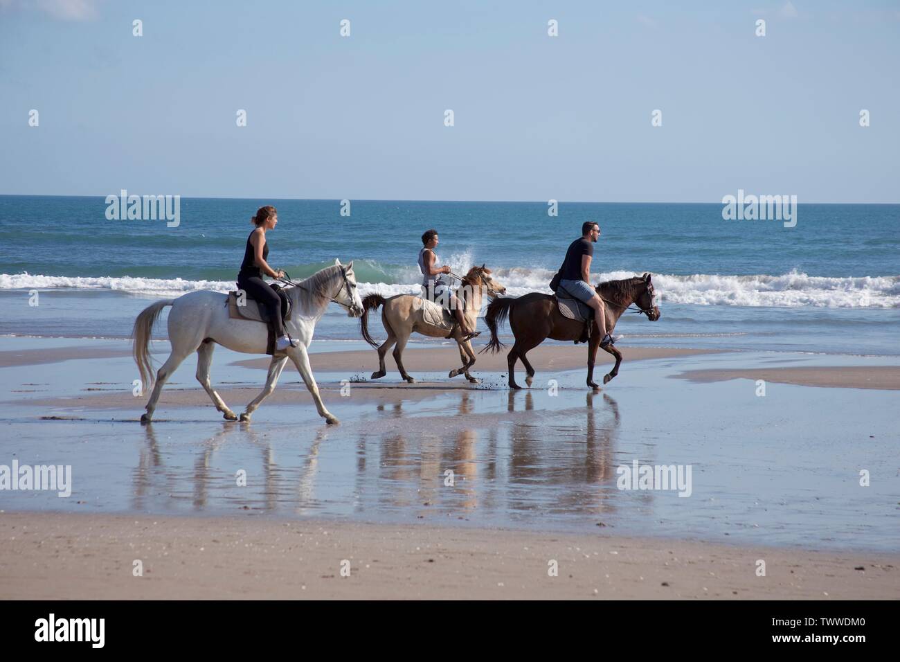 beach horse riding Stock Photo - Alamy