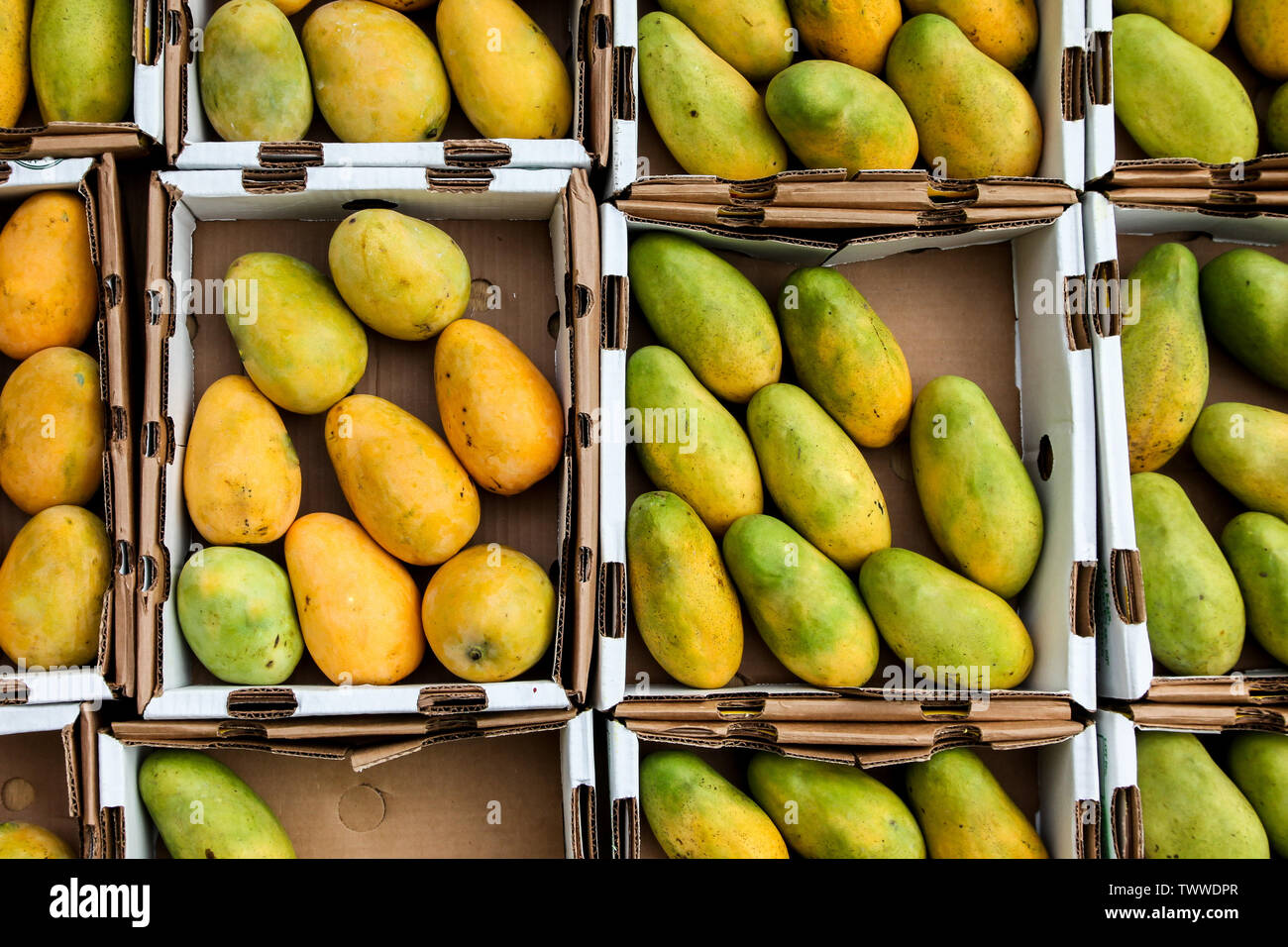 Mangoes inside paper container on market Stock Photo - Alamy