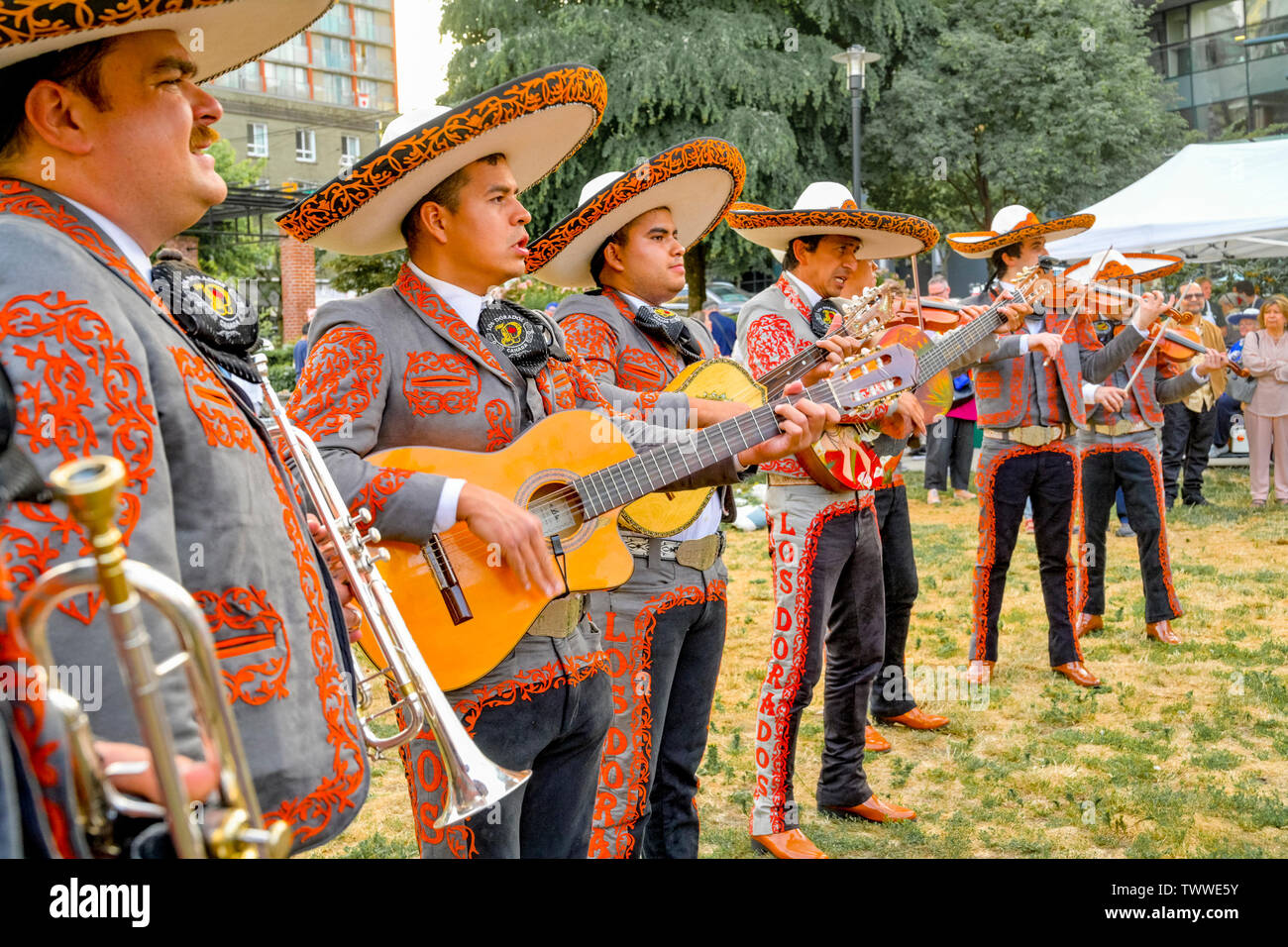 Mariachi El Dorado, Gathering Festival, Summer Solstice Celebration ...