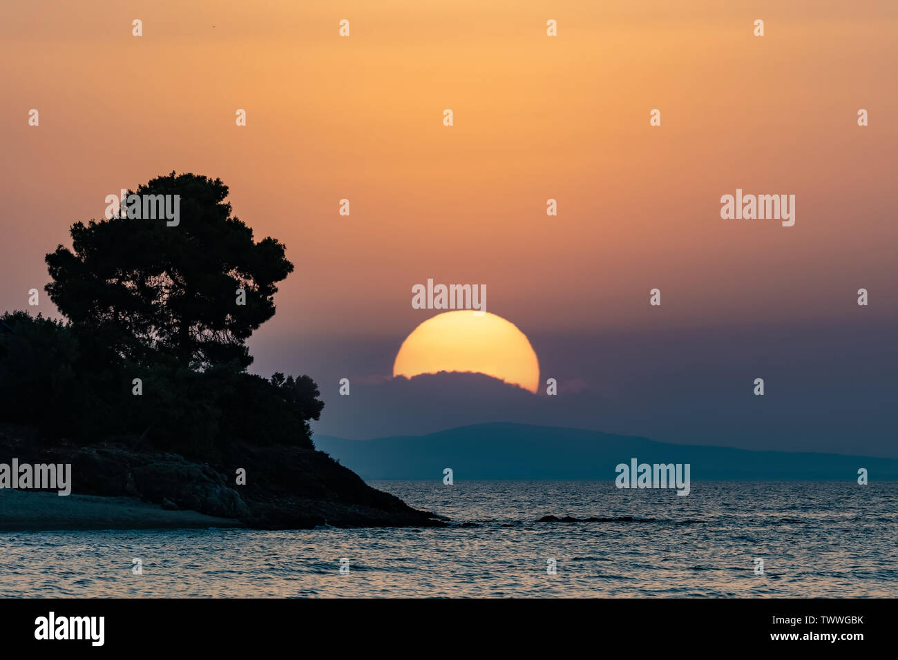 Bright sunset with large yellow sun the sea surface with rock tree ...