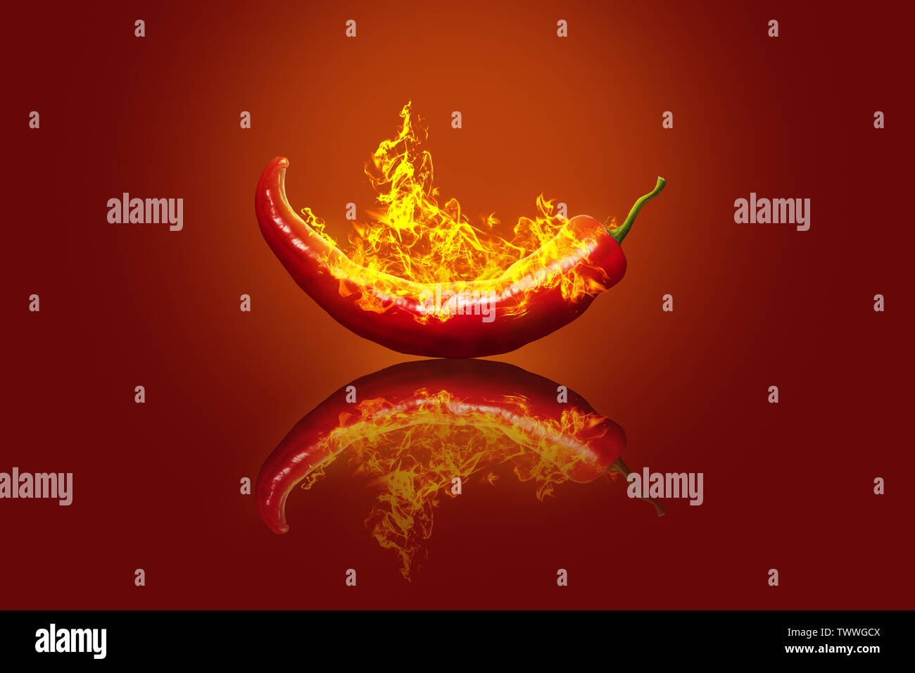 Burning chili pepper on red background with reflection. Hot spicy ...