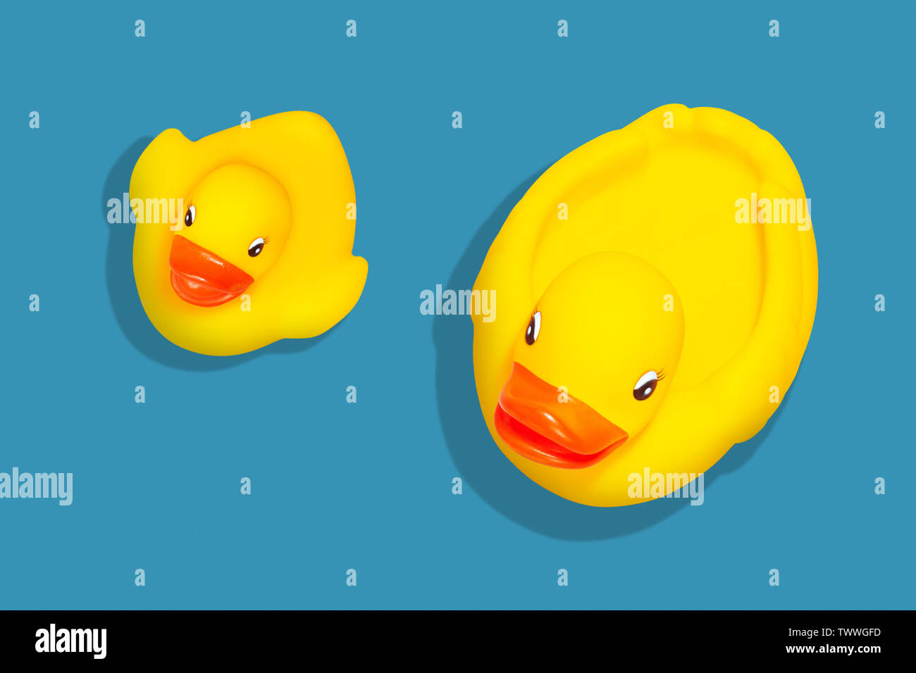 Big and little toy ducks set with shadows on a blue background. View ...