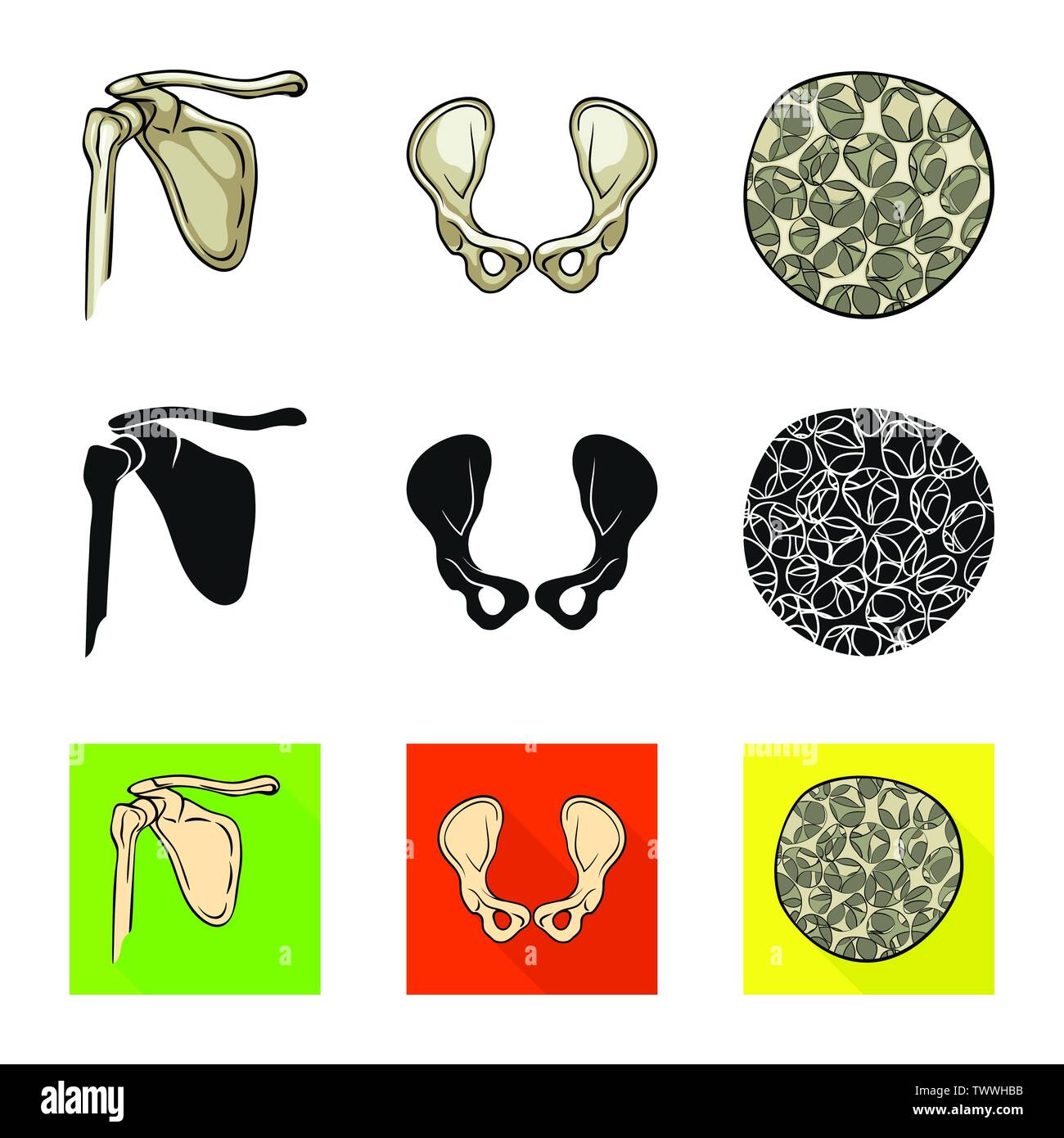 Vector Vectors Stock Vector Image & Art - Alamy