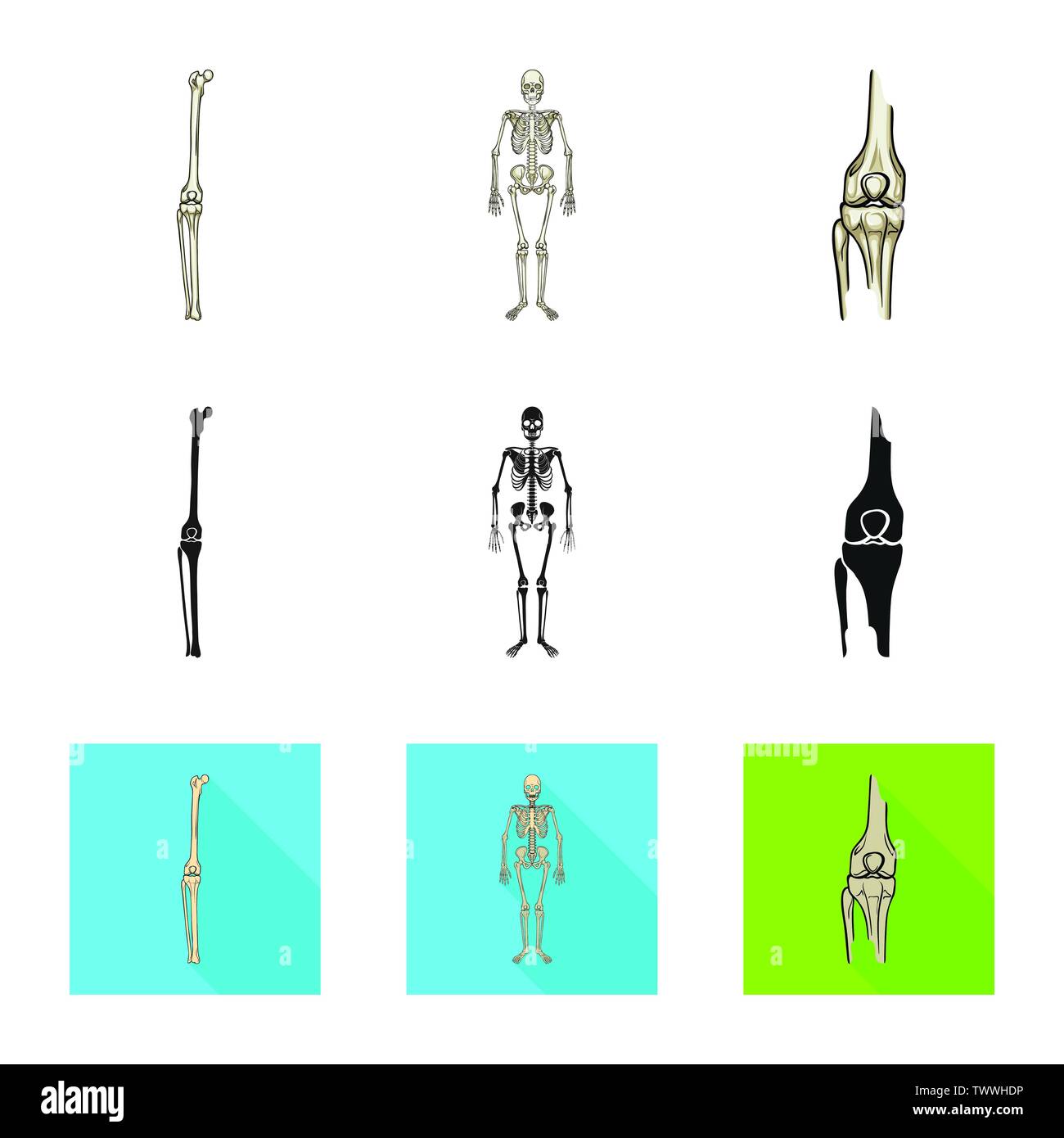 Vector Vectors Stock Vector Image & Art - Alamy