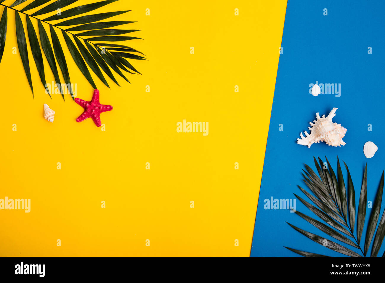 Tropical bright colorful background with sea shells and starfish Stock ...