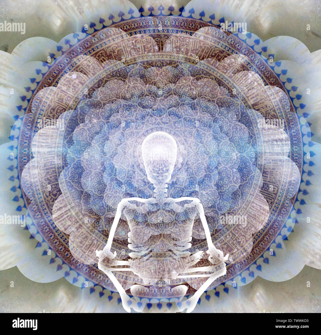 Skeleton in lotus position sits before endless spaces. Meditation Stock ...