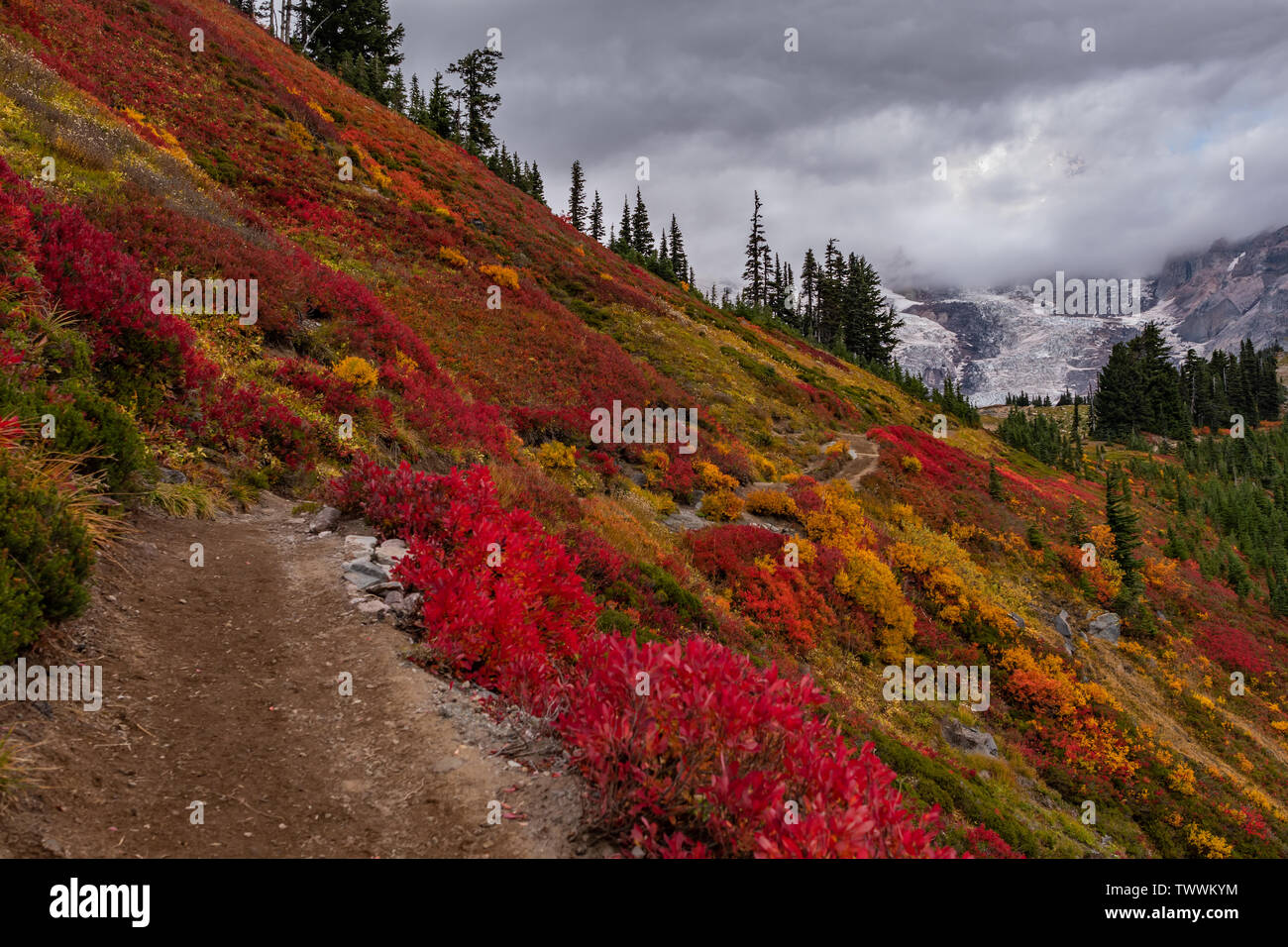 Fall Colors and Clouded in Mt Rainier in autumn Stock Photo - Alamy