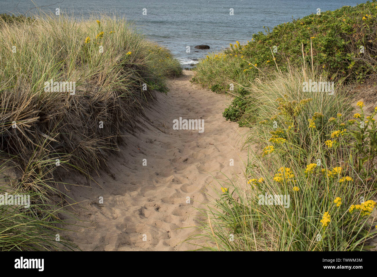 Beaches block island hi-res stock photography and images - Alamy