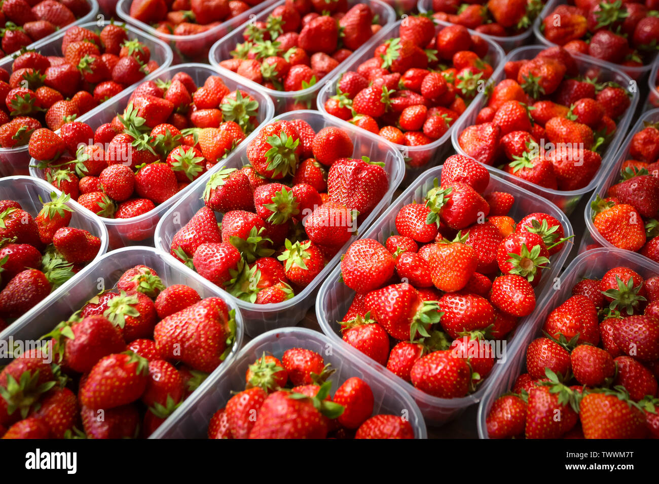 Strawberries a plastic box hi-res stock photography and images - Alamy