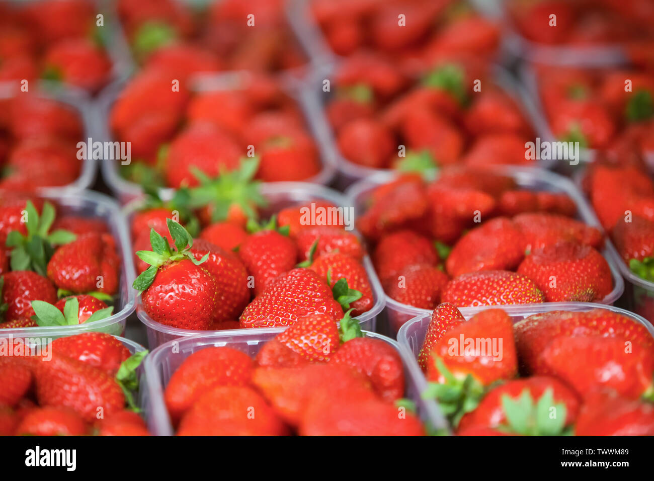 Strawberries a plastic box hi-res stock photography and images - Alamy