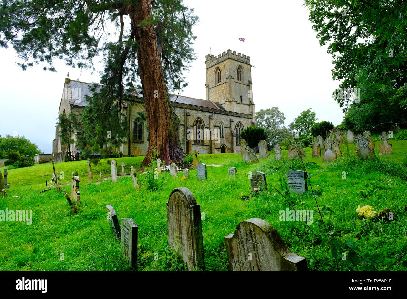 The parish church and graveyard, St Mary, Netherbury, Dorset, UK - John ...