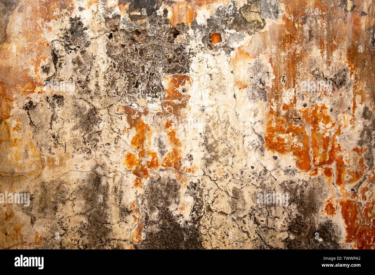 Decay hi-res stock photography and images - Alamy