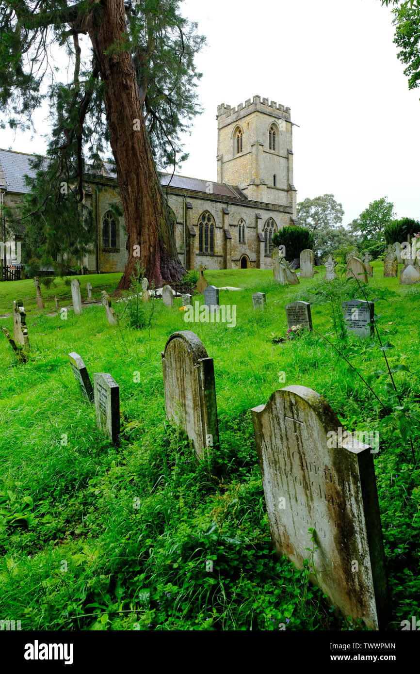 The parish church and graveyard, St Mary, Netherbury, Dorset, UK - John ...