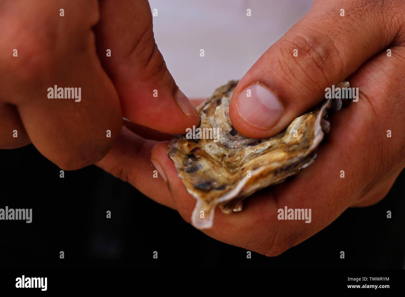 Oyster Shucking High Resolution Stock Photography and Images - Alamy