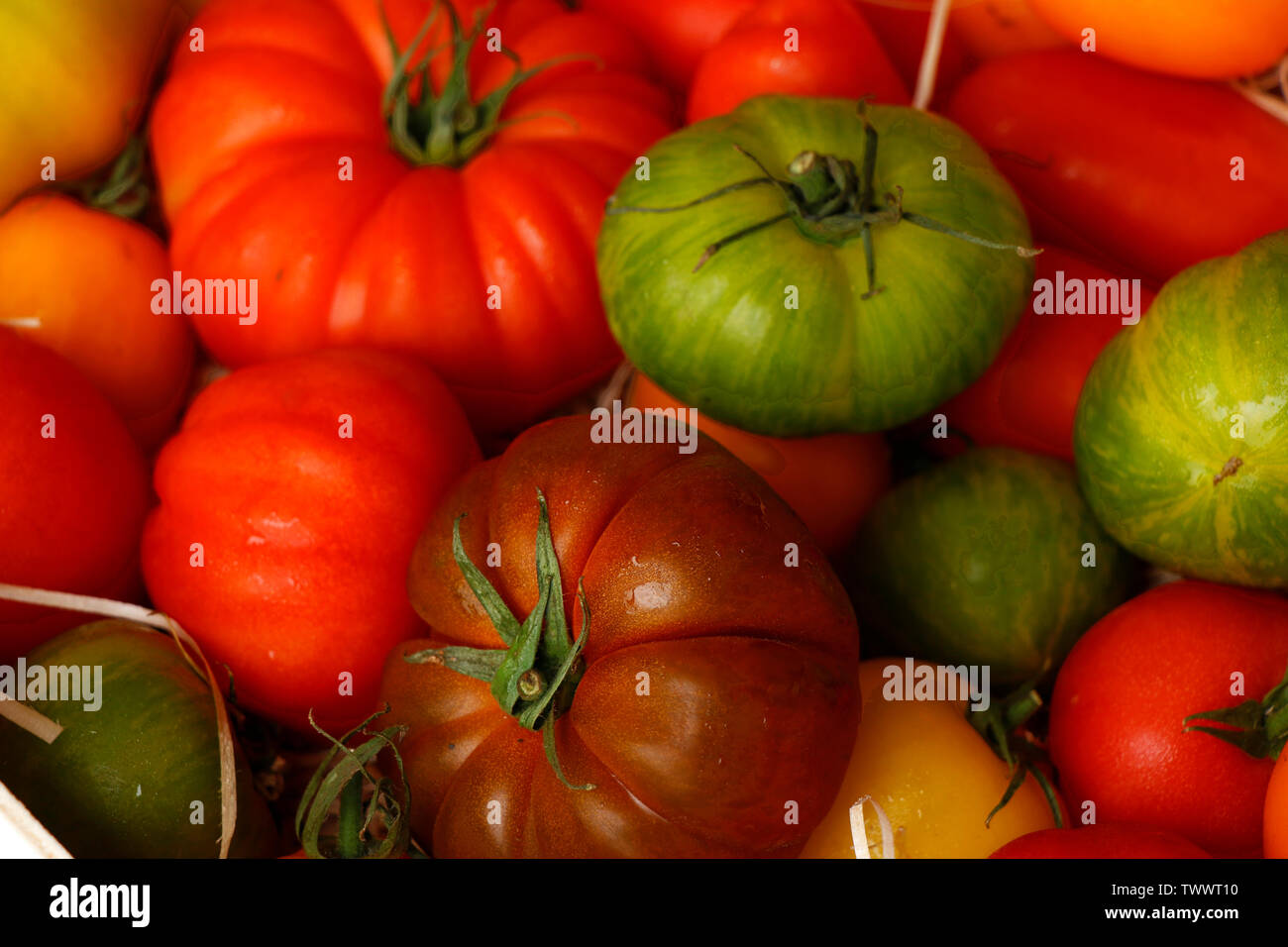 heirloom tomato collection also known as heritage tomato Stock Photo ...