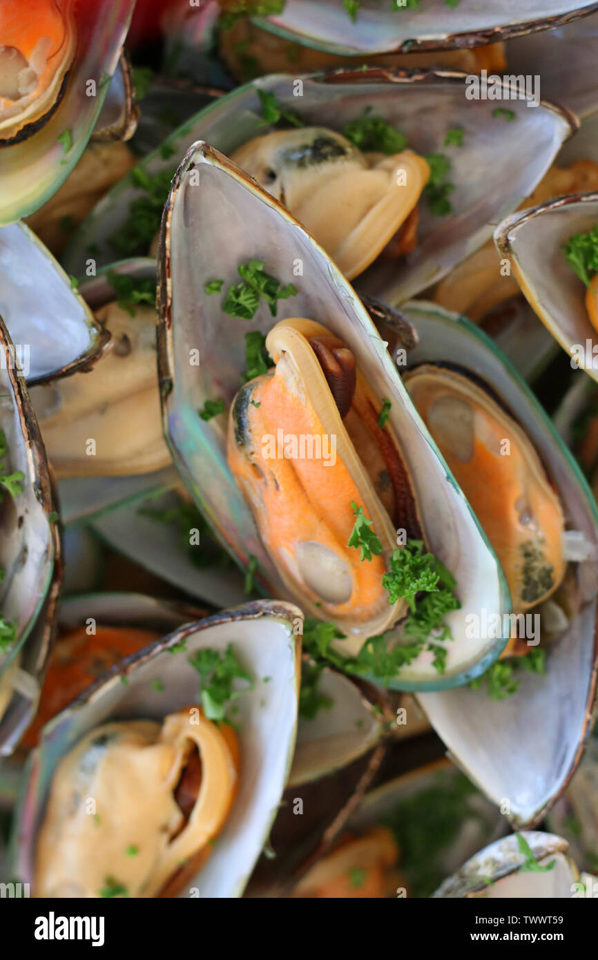 Asian Green Mussel High Resolution Stock Photography and Images - Alamy