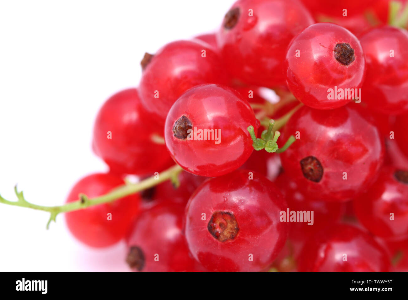 Red currant isolated on white background Stock Photo - Alamy