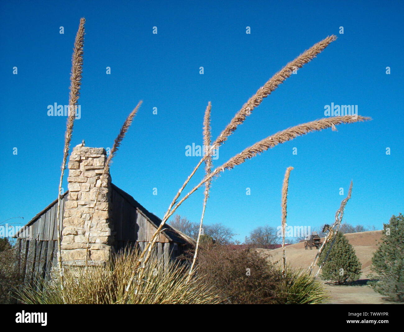 Texas ranch 1800s hi-res stock photography and images - Alamy
