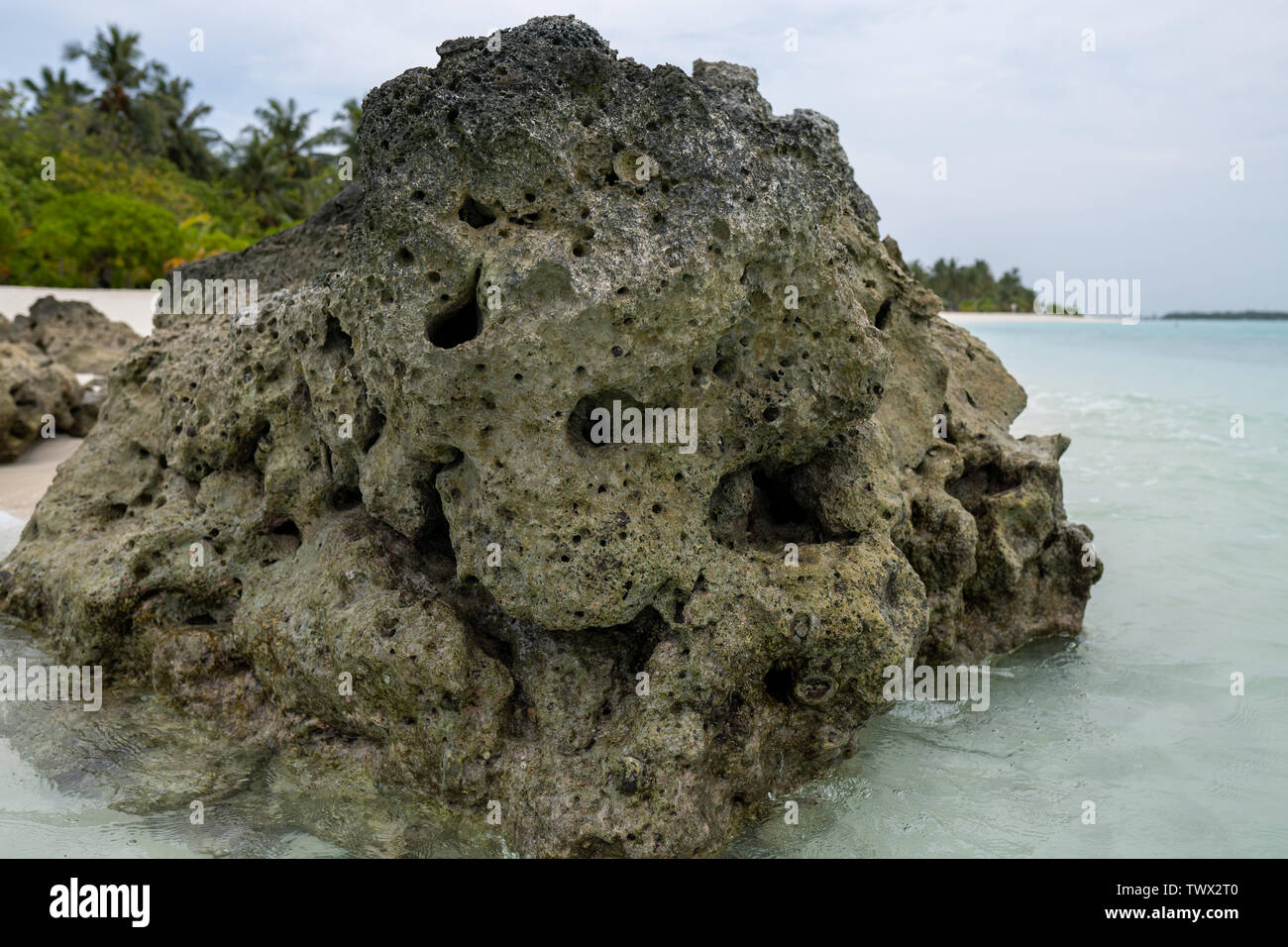 Tropical island shore hi-res stock photography and images - Alamy