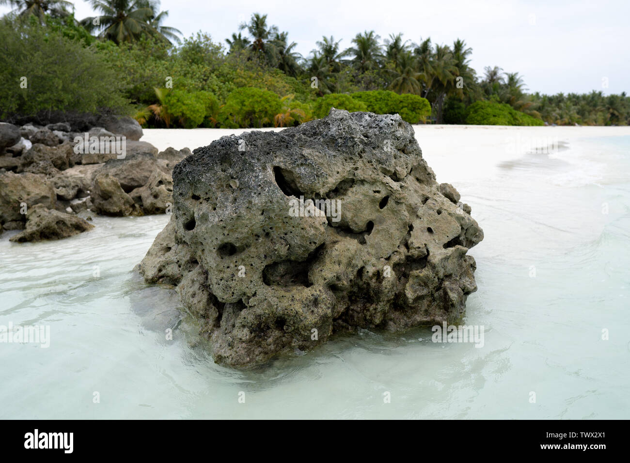 Stone on the shore of a tropical island Stock Photo - Alamy