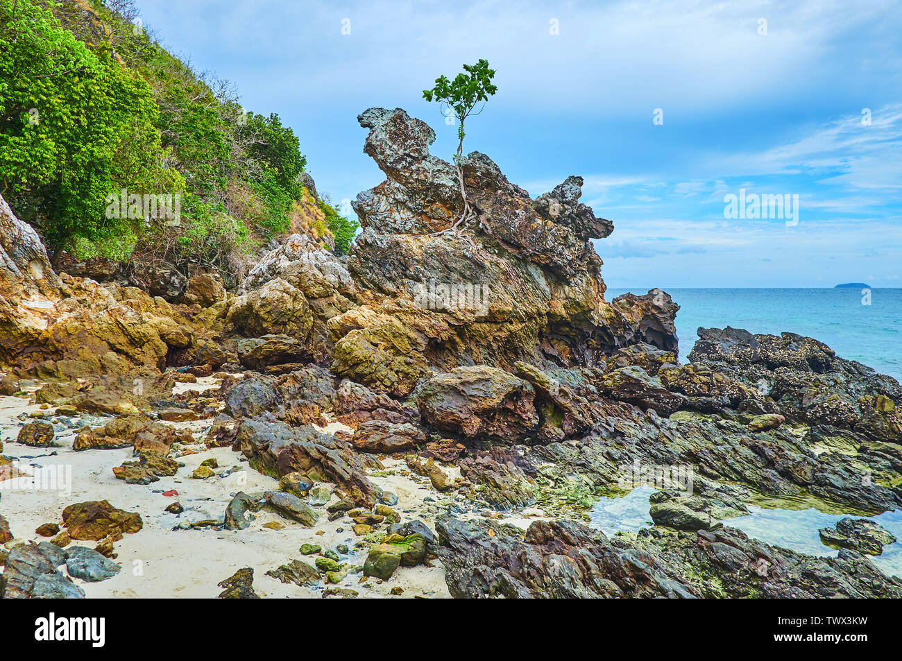 Growing coral thailand hi-res stock photography and images - Alamy