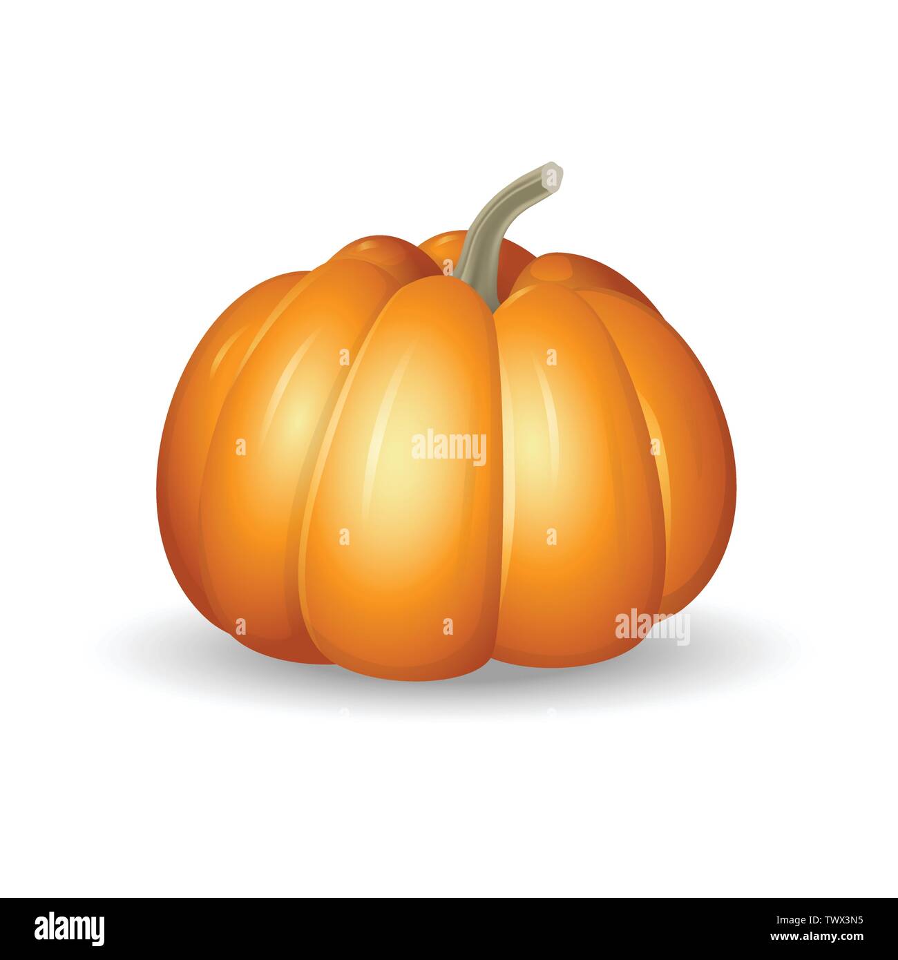 Orange pumpkin - cartoon vector illustration isolated on white ...