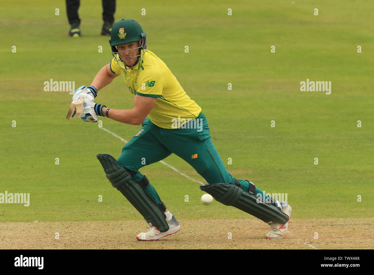 Cricket david miller hi-res stock photography and images - Alamy