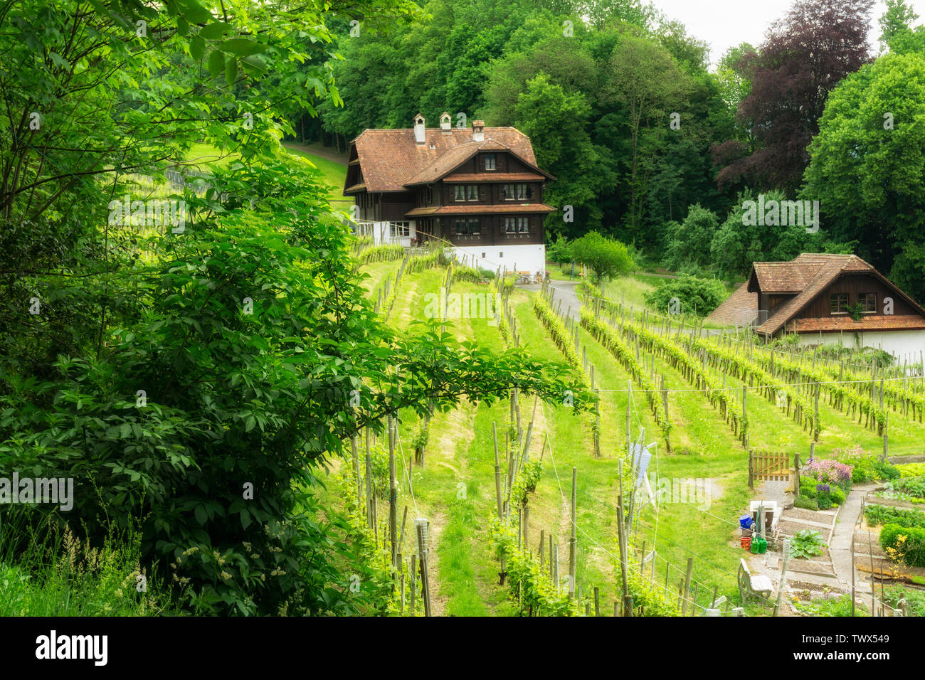 Lucerne farm hi-res stock photography and images - Alamy