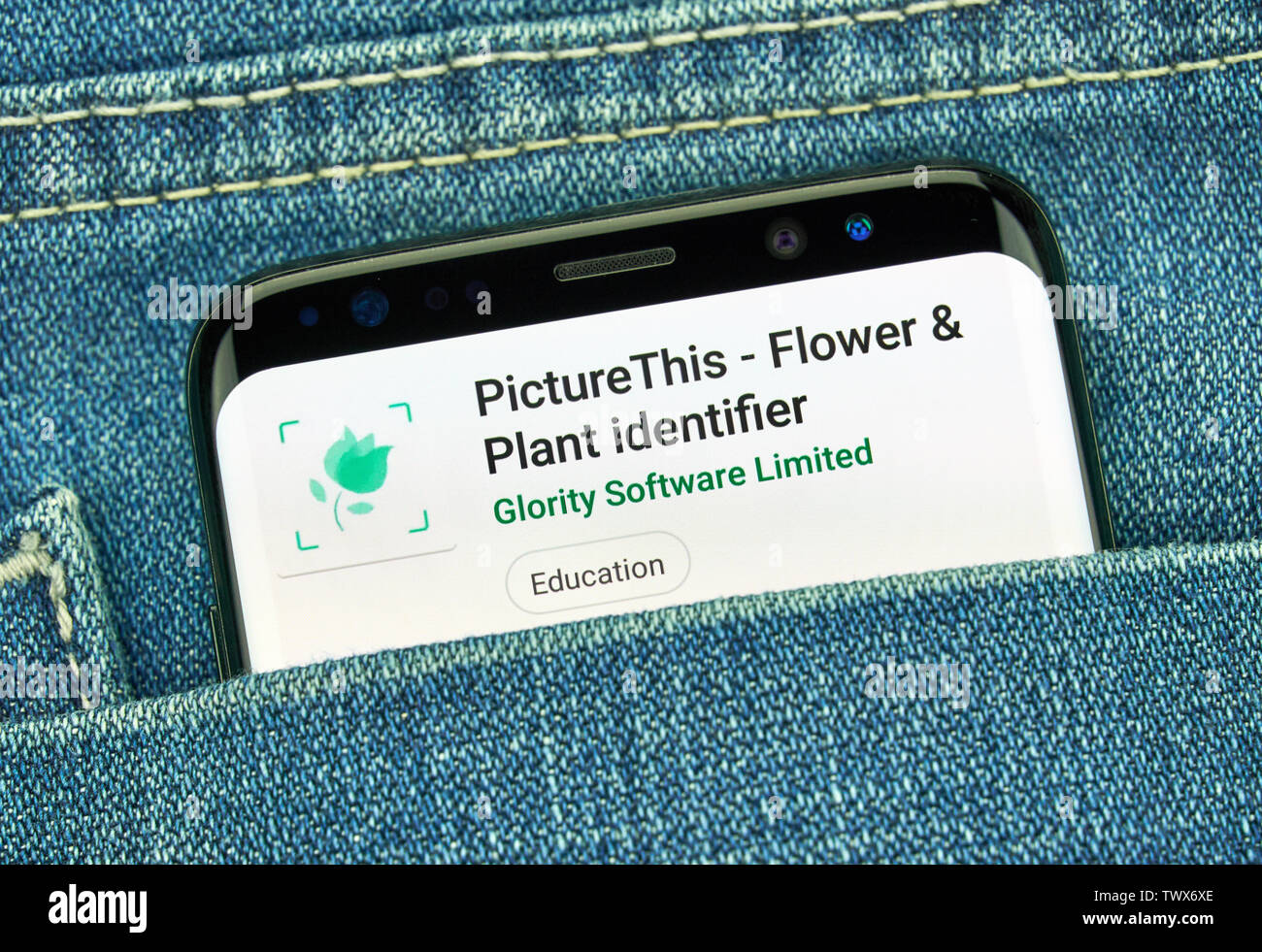 Plants identifier hi-res stock photography and images - Alamy