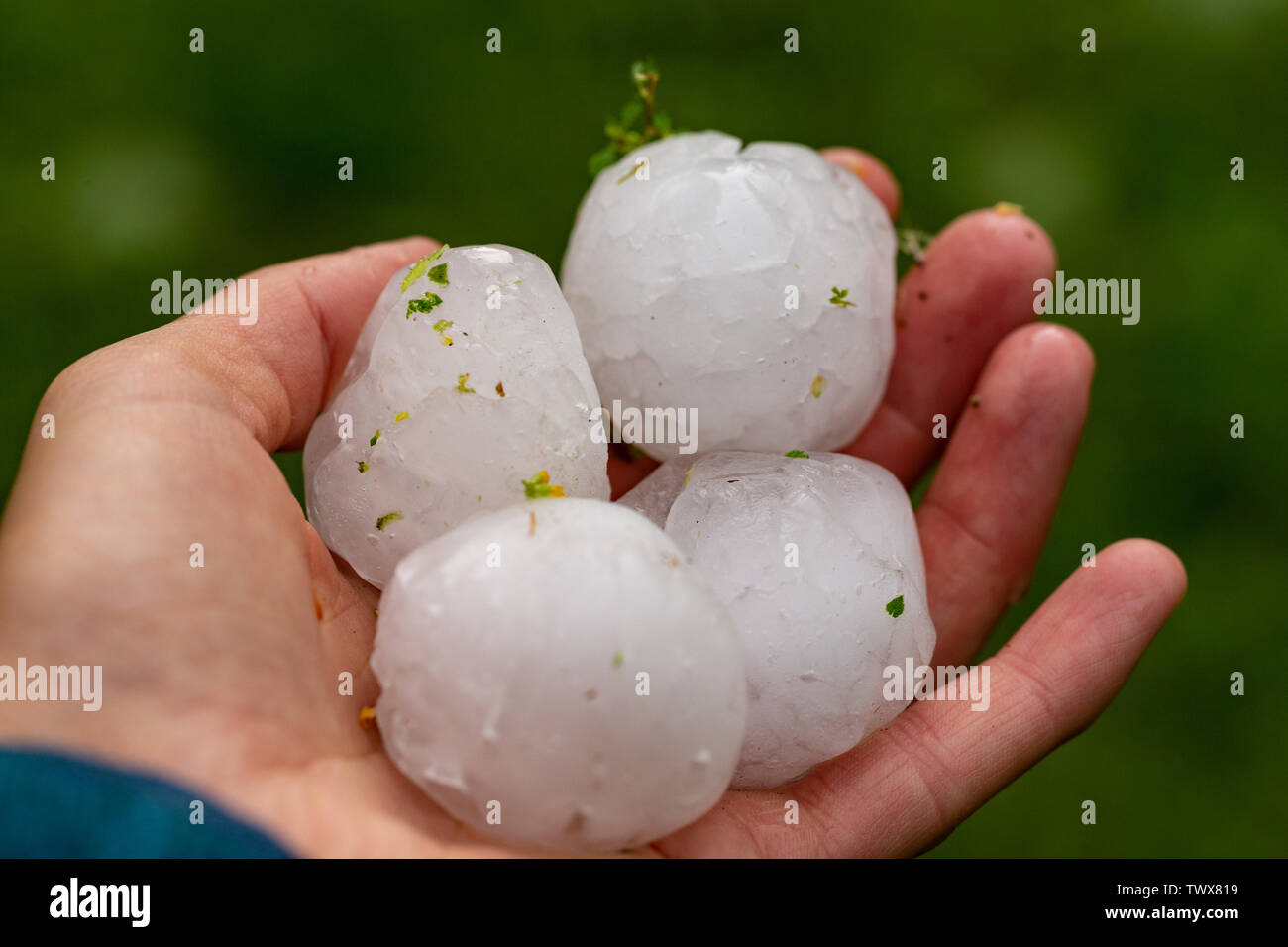 Hailstone hi-res stock photography and images - Alamy