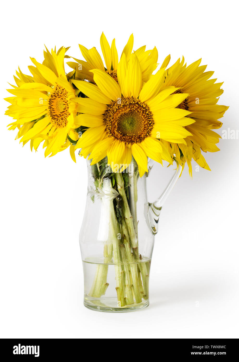 Floral bouquet in circle Cut Out Stock Images & Pictures - Alamy