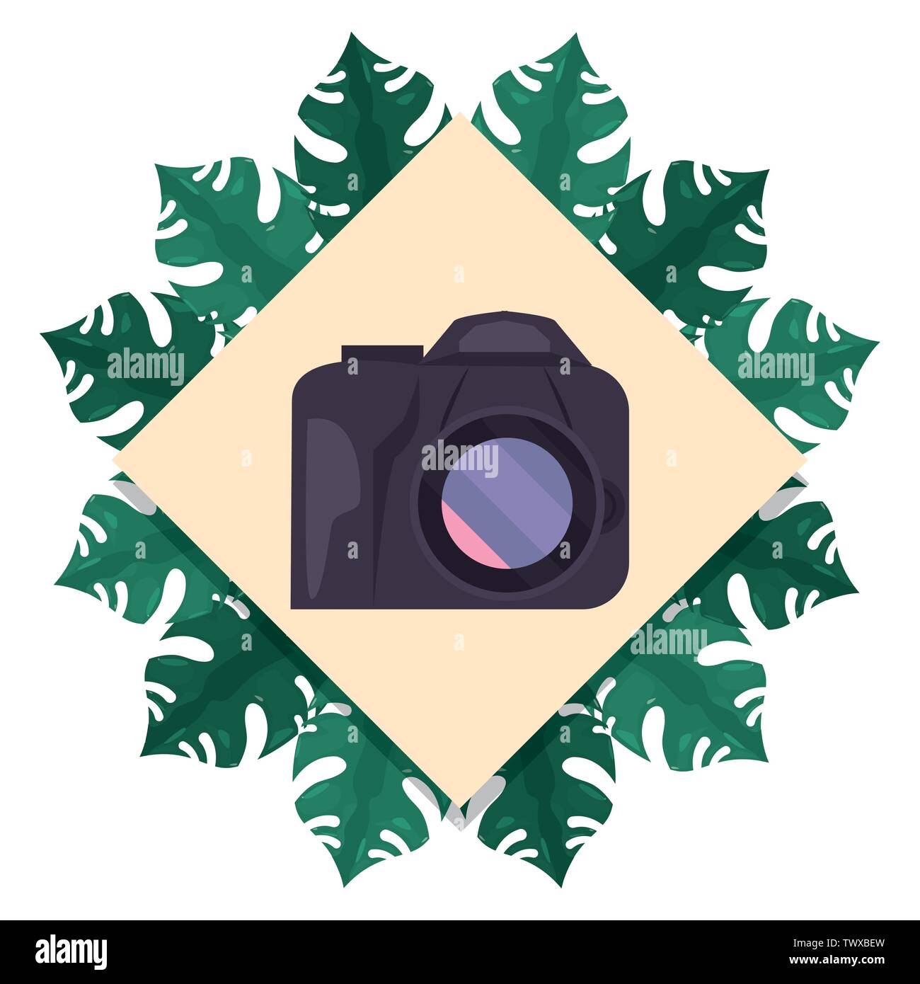photography camera badge leaves tropical summer vector illustration ...