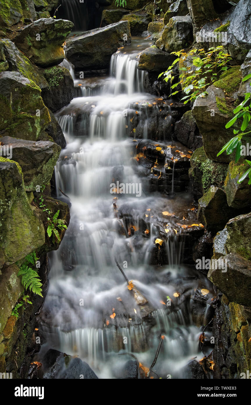 Endcliffe park falls hi-res stock photography and images - Alamy