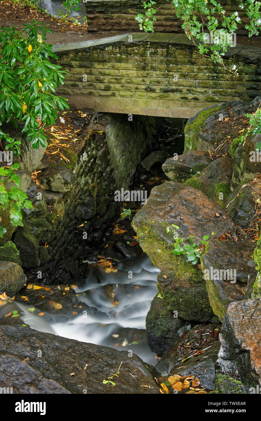 UK,South Yorkshire,Sheffield,Endcliffe Park Waterfalls Stock Photo - Alamy
