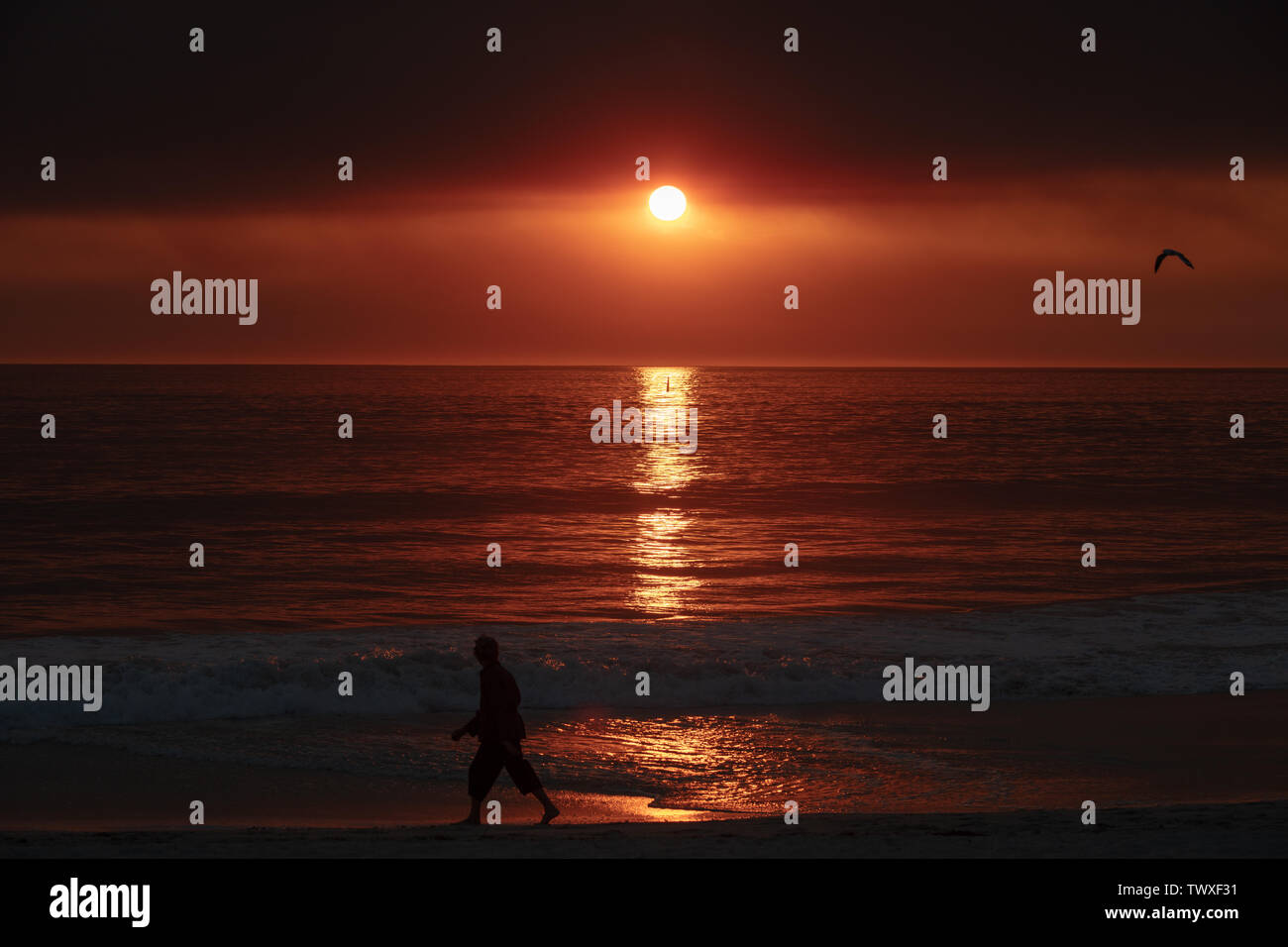 Australia bushfires beach hi-res stock photography and images - Alamy
