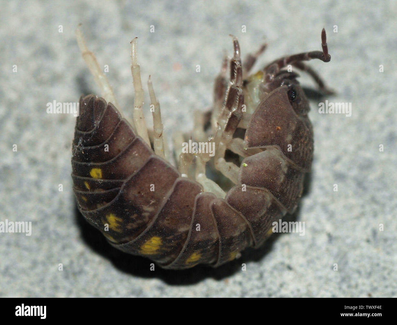 Est des noms hi-res stock photography and images - Alamy